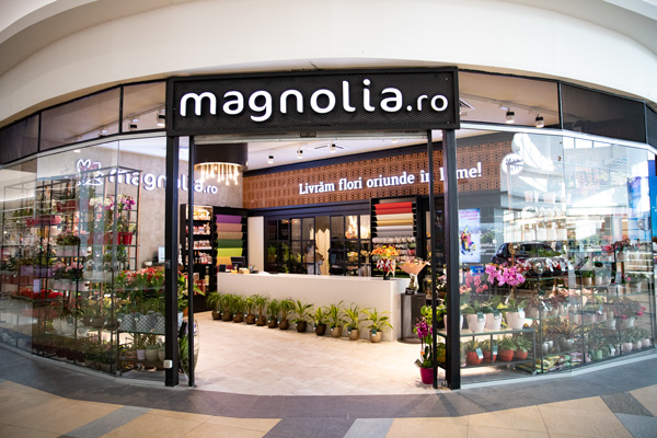 Magnolia Cluj - Cosmin Todor – Conturum